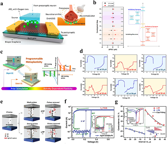 2D materials-based crossbar array for neuromorphic computing hardware - IOPscience