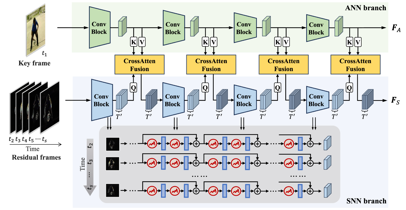 ReSpike: residual frames-based hybrid spiking neural networks for efficient action recognition ...