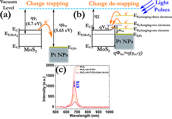 Reconfigurable optoelectronic neuromorphic properties of MoS2-based ...