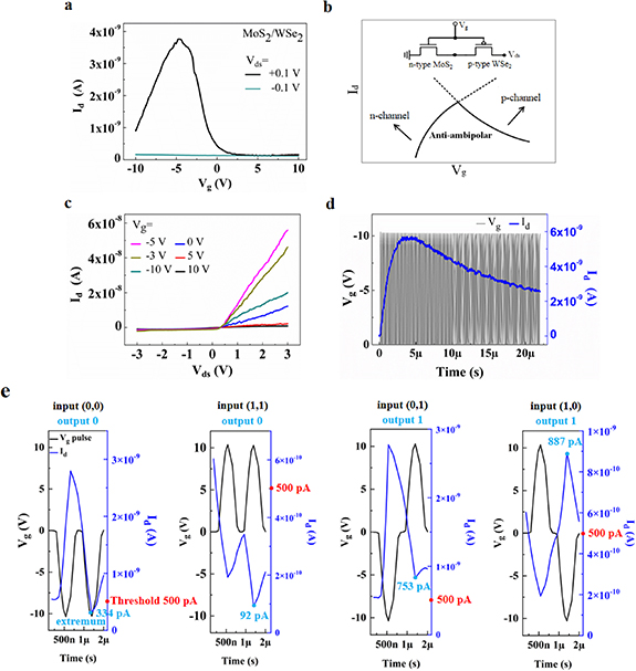 Bio-realistic and versatile artificial dendrites made of anti-ambipolar ...