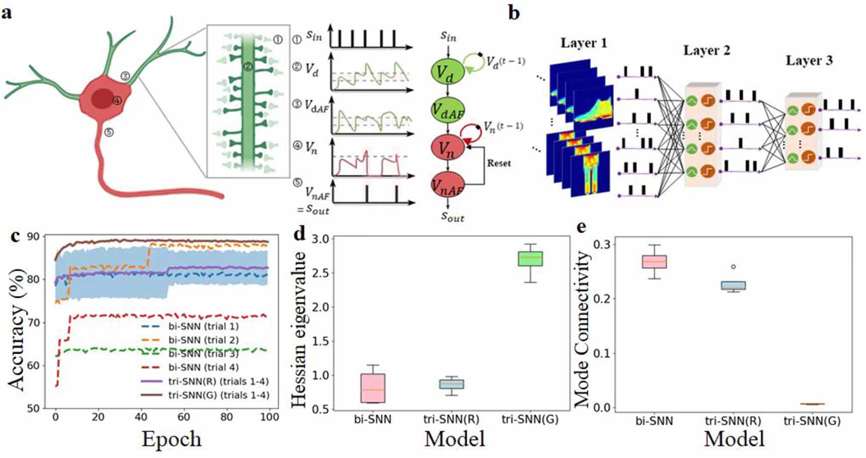 Bio-realistic and versatile artificial dendrites made of anti-ambipolar ...