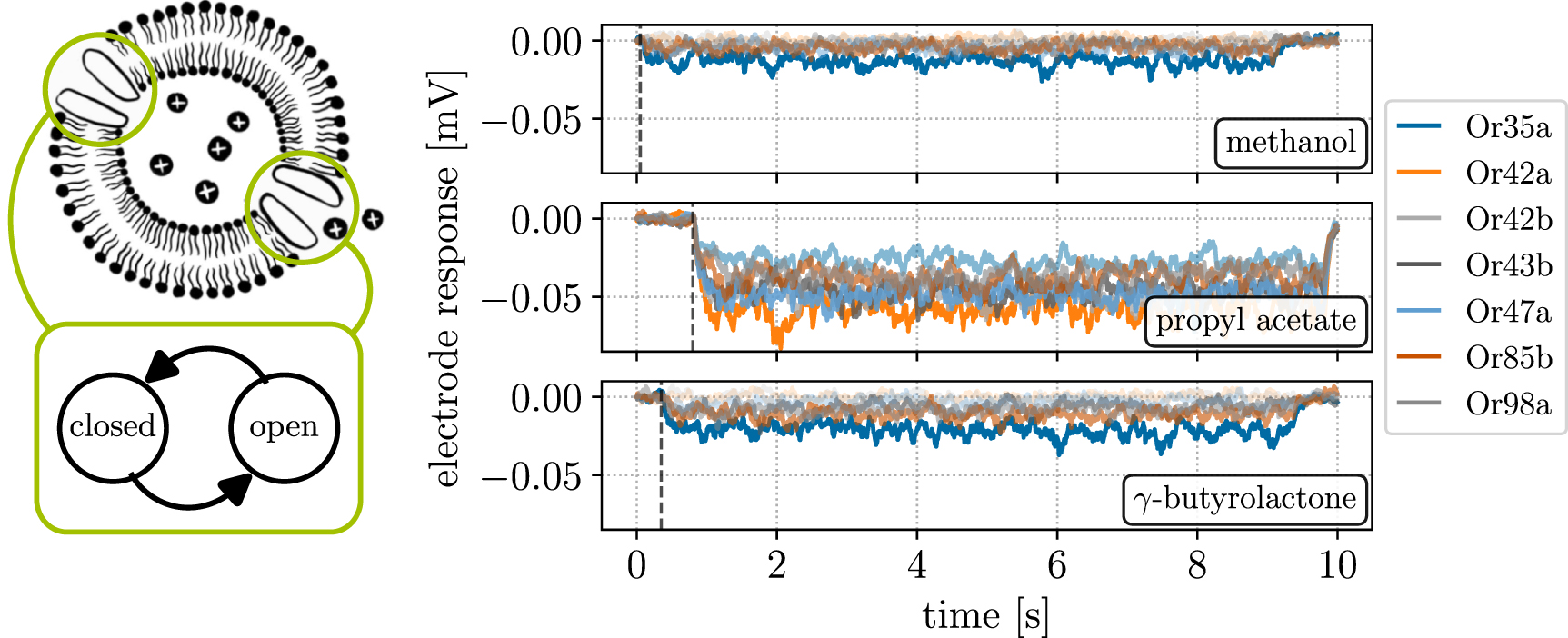 Synthetic biology meets neuromorphic computing: towards a bio-inspired ...