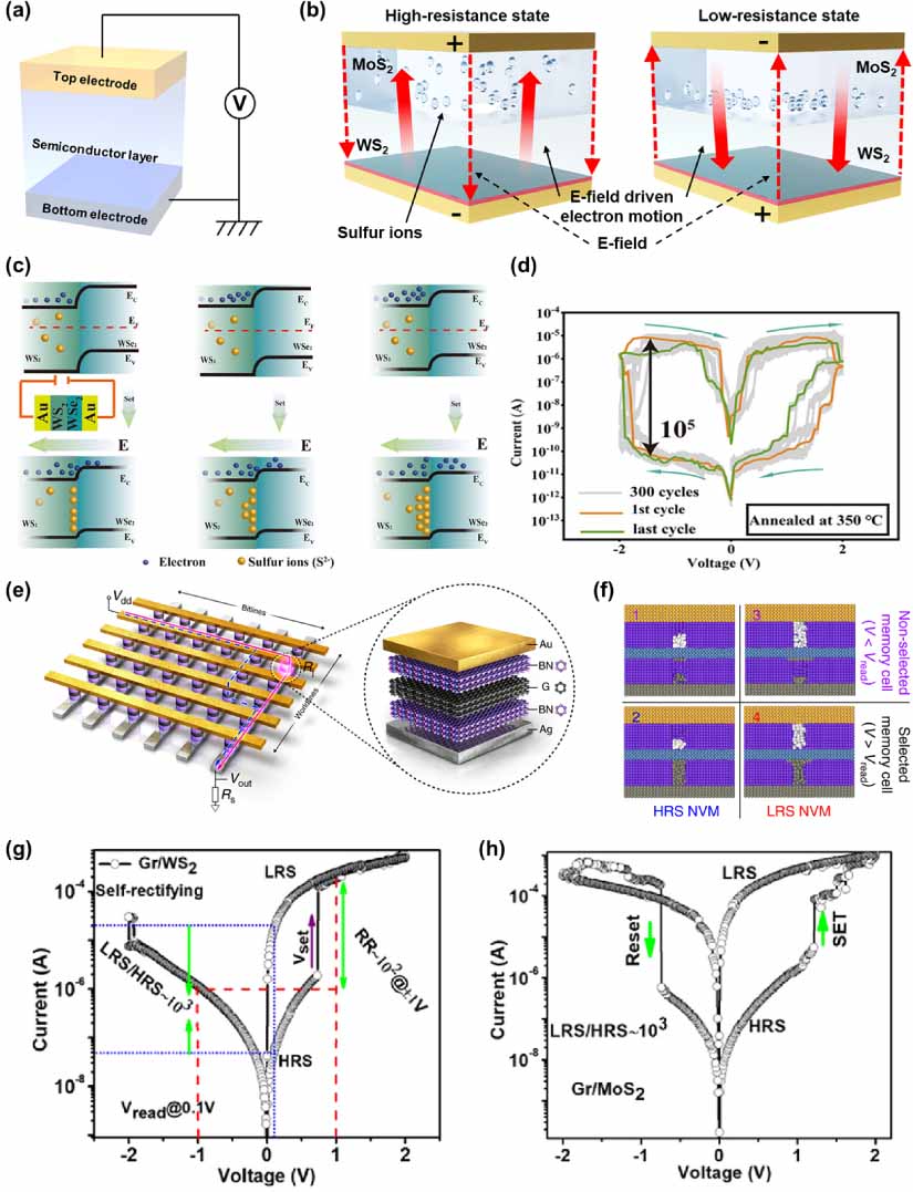 Van der Waals integration of 2D materials for advanced intelligent ...