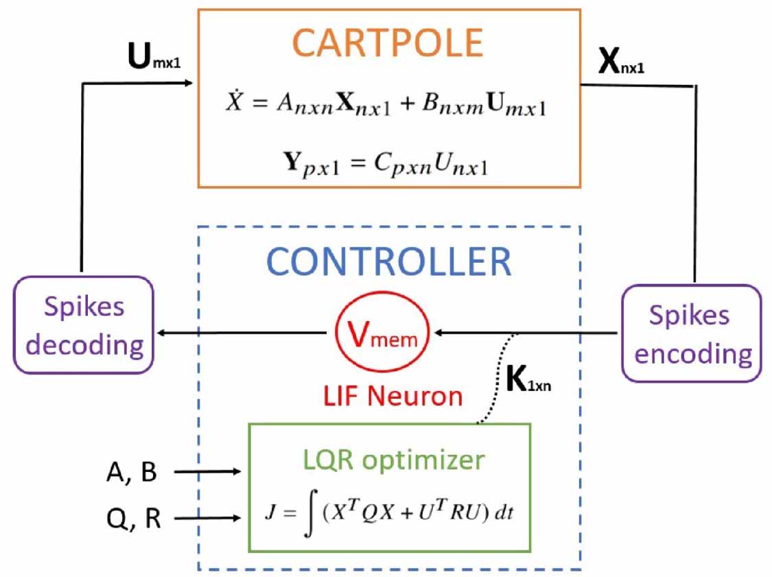 Benchmarking spiking neurons for linear quadratic regulator control of ...