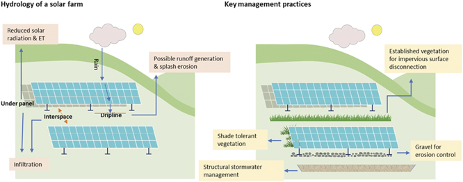 Minimizing environmental impacts of solar farms: a review of current ...