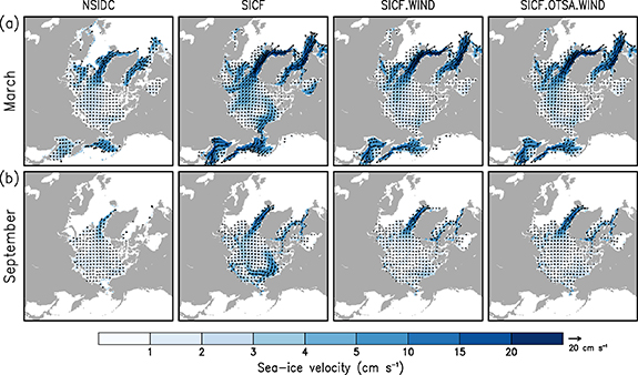 Effectiveness of wind-constrained sea-ice momentum on formation of sea ...