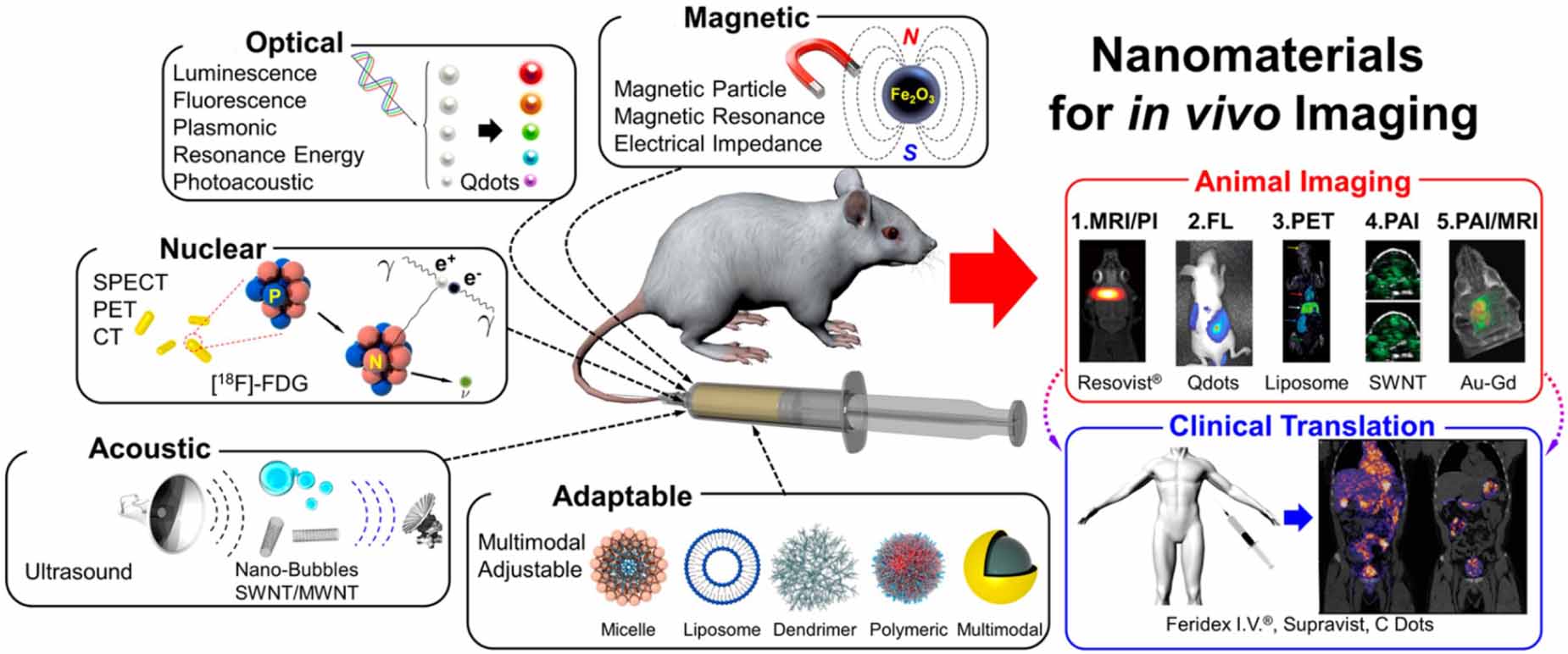 Developing sensor materials for screening intestinal diseases - IOPscience