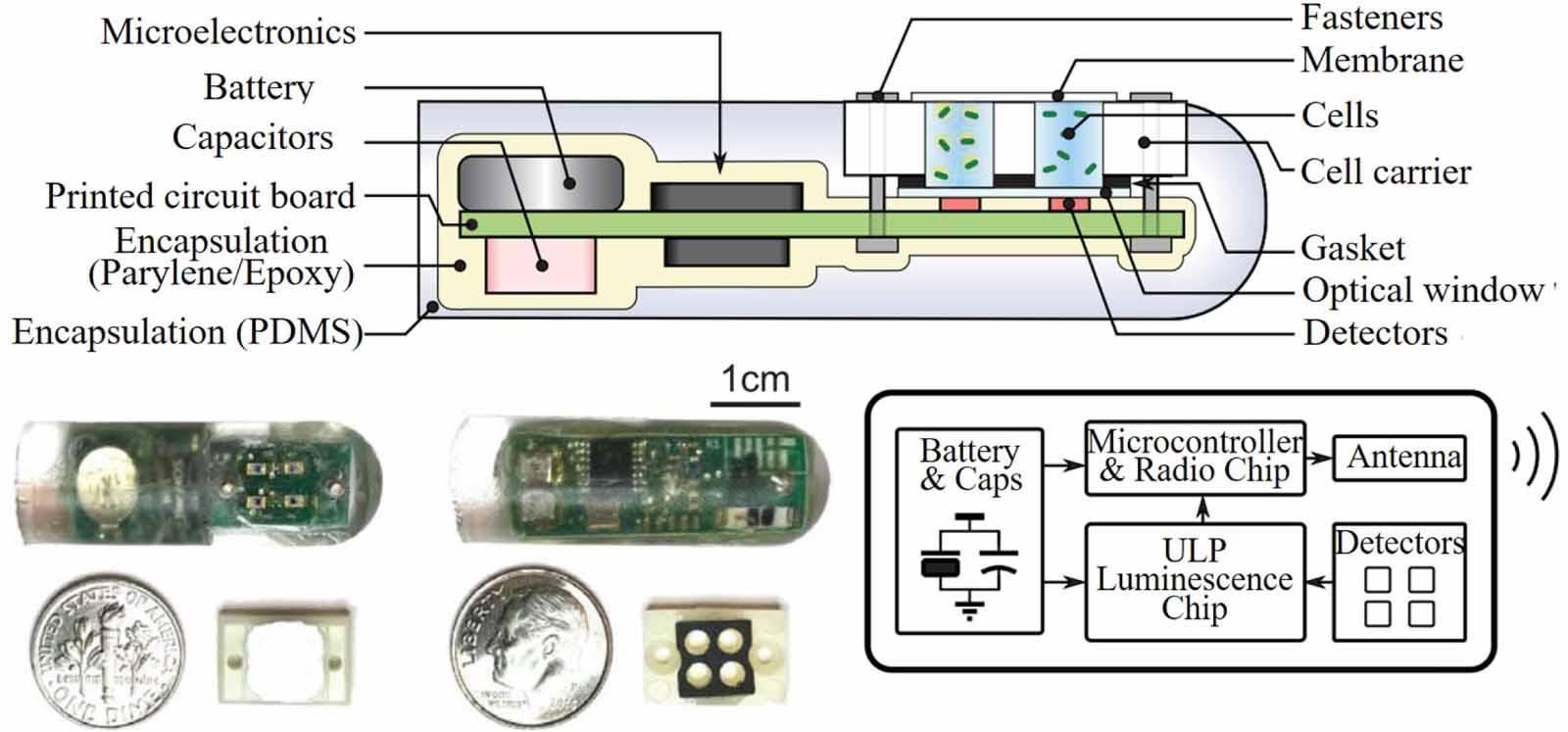 Developing sensor materials for screening intestinal diseases - IOPscience