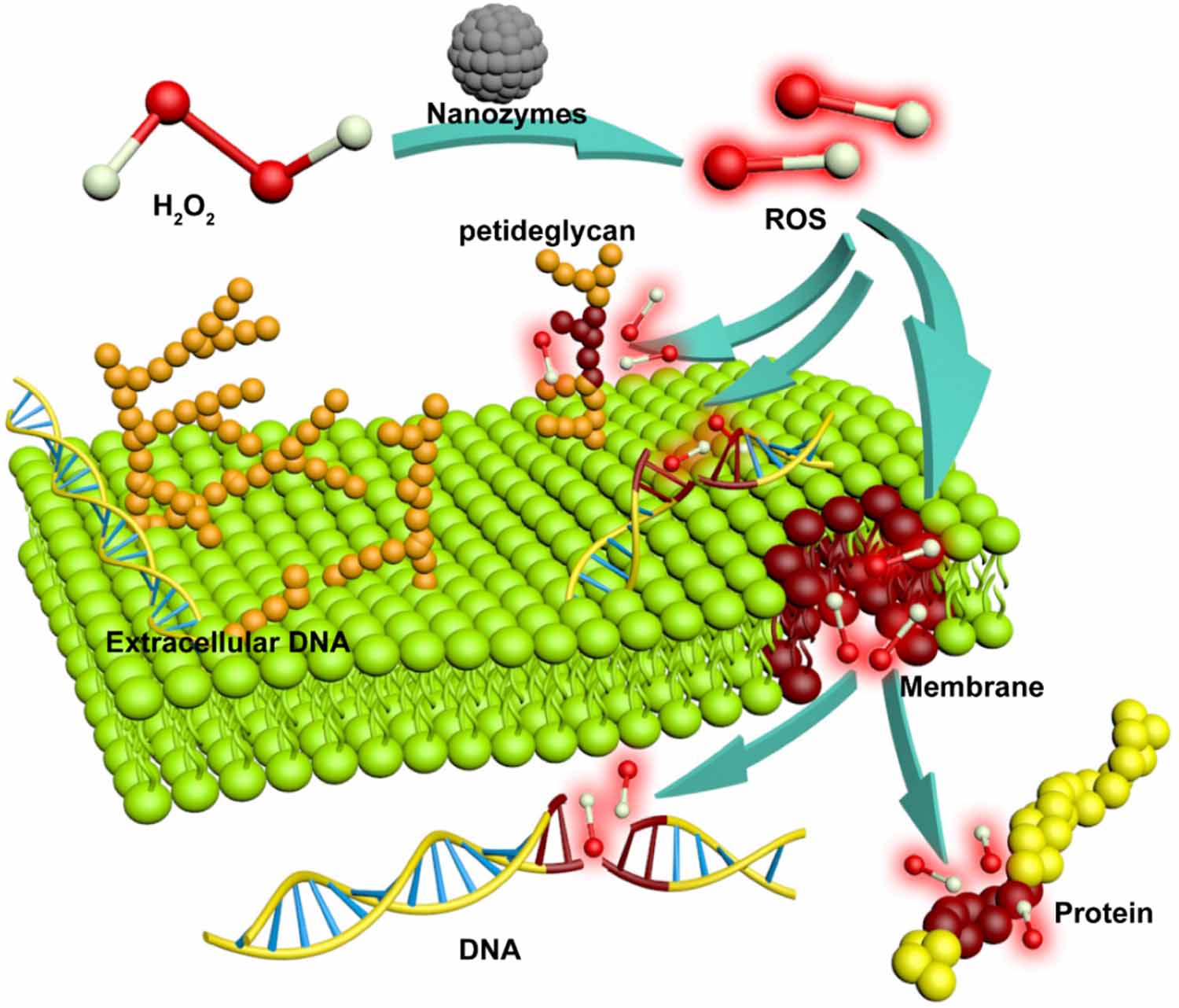 Efficient nanozyme engineering for antibacterial therapy - IOPscience