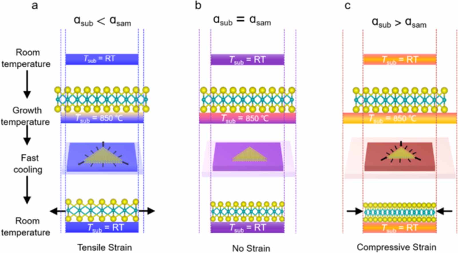 Advanced atomic force microscopies and their applications in two ...