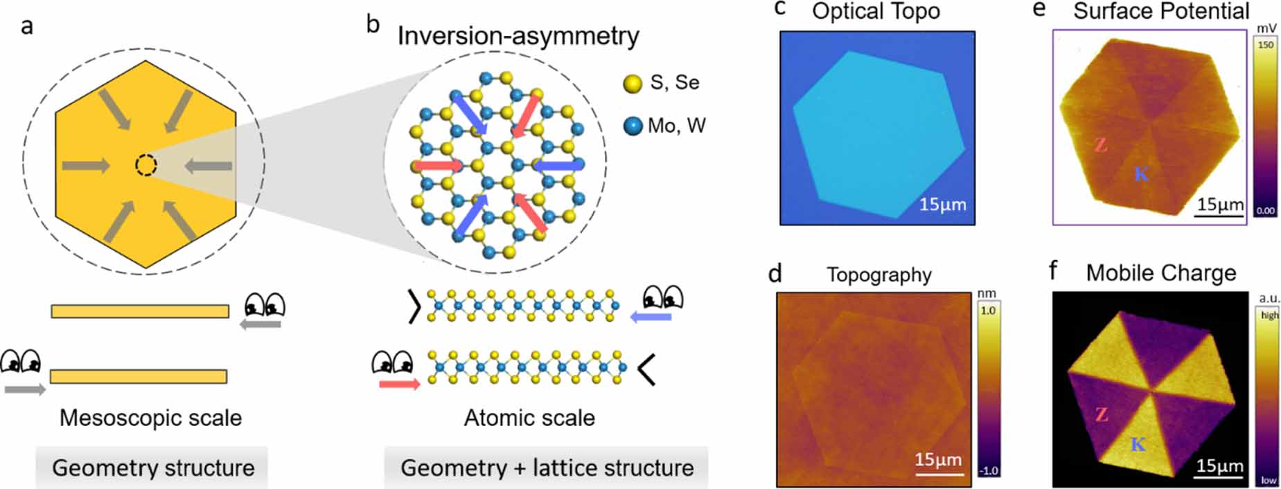 Advanced atomic force microscopies and their applications in two ...