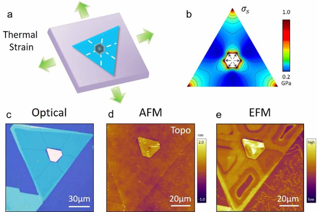 Advanced atomic force microscopies and their applications in two ...