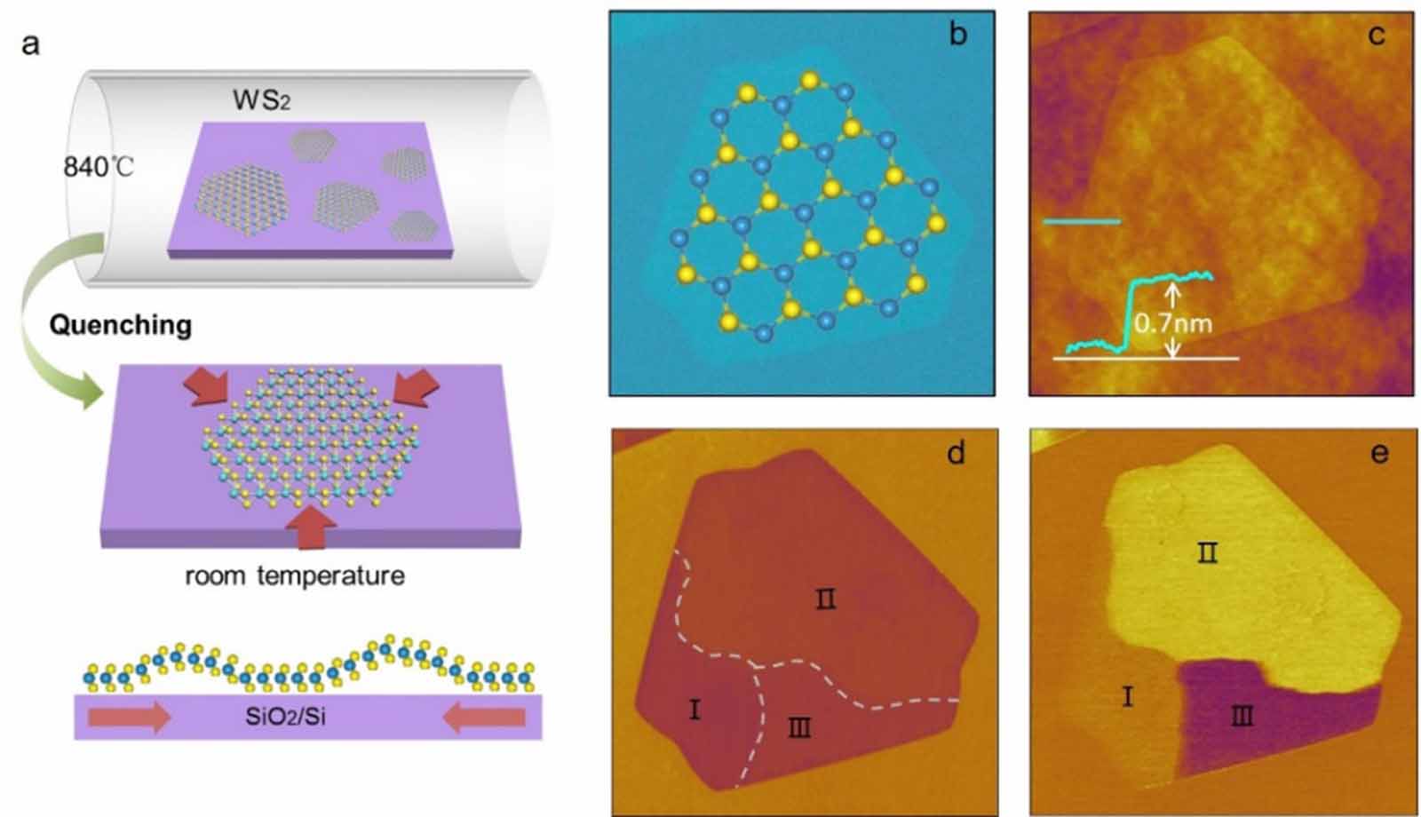 Advanced atomic force microscopies and their applications in two ...