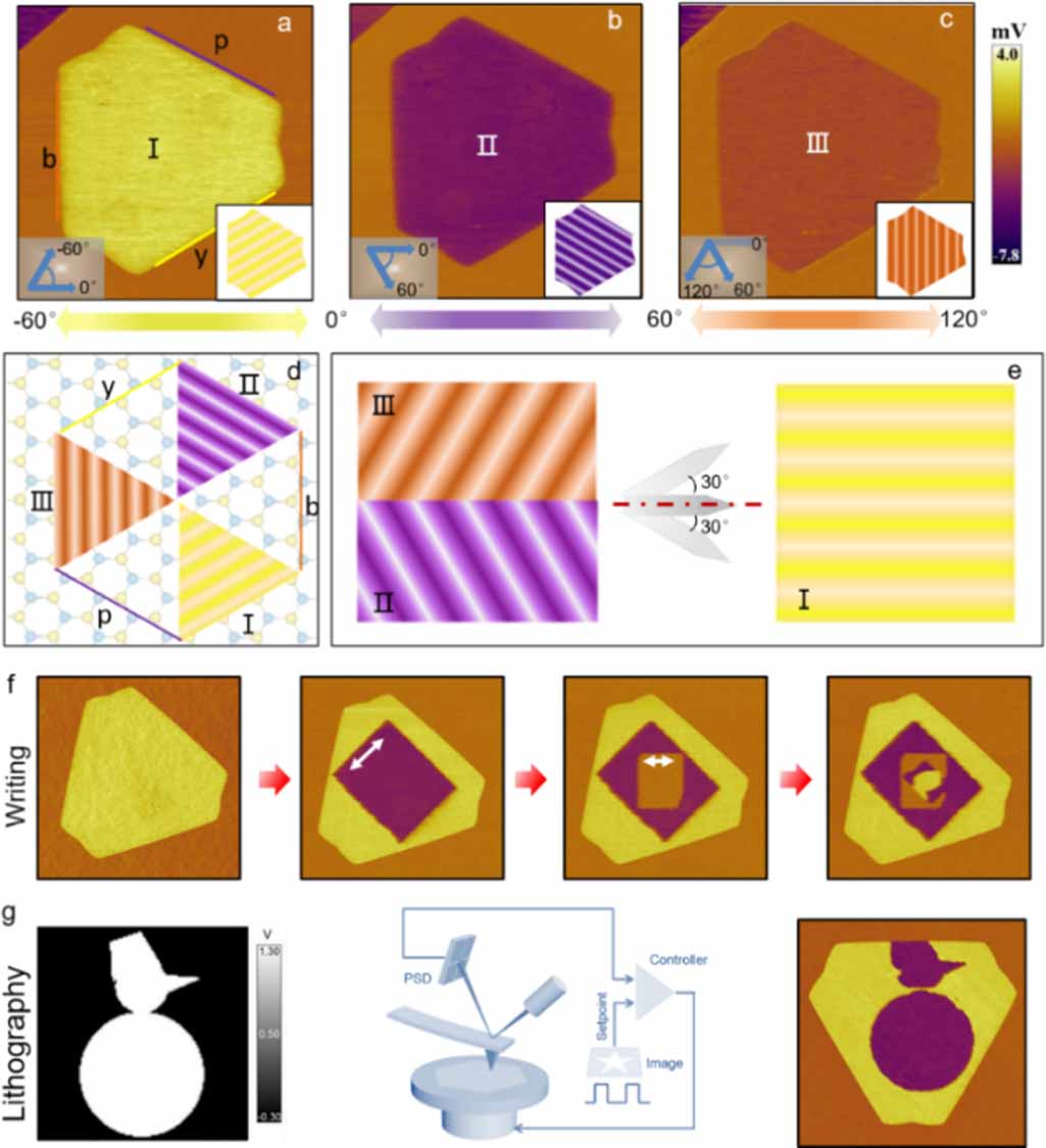 Advanced atomic force microscopies and their applications in two-dimensional materials: a review ...