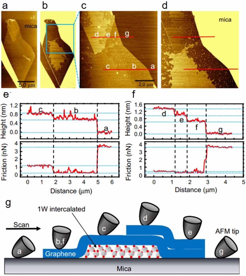 Advanced atomic force microscopies and their applications in two ...