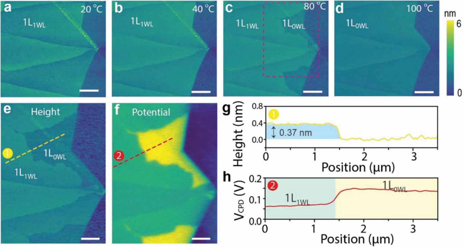Advanced atomic force microscopies and their applications in two ...
