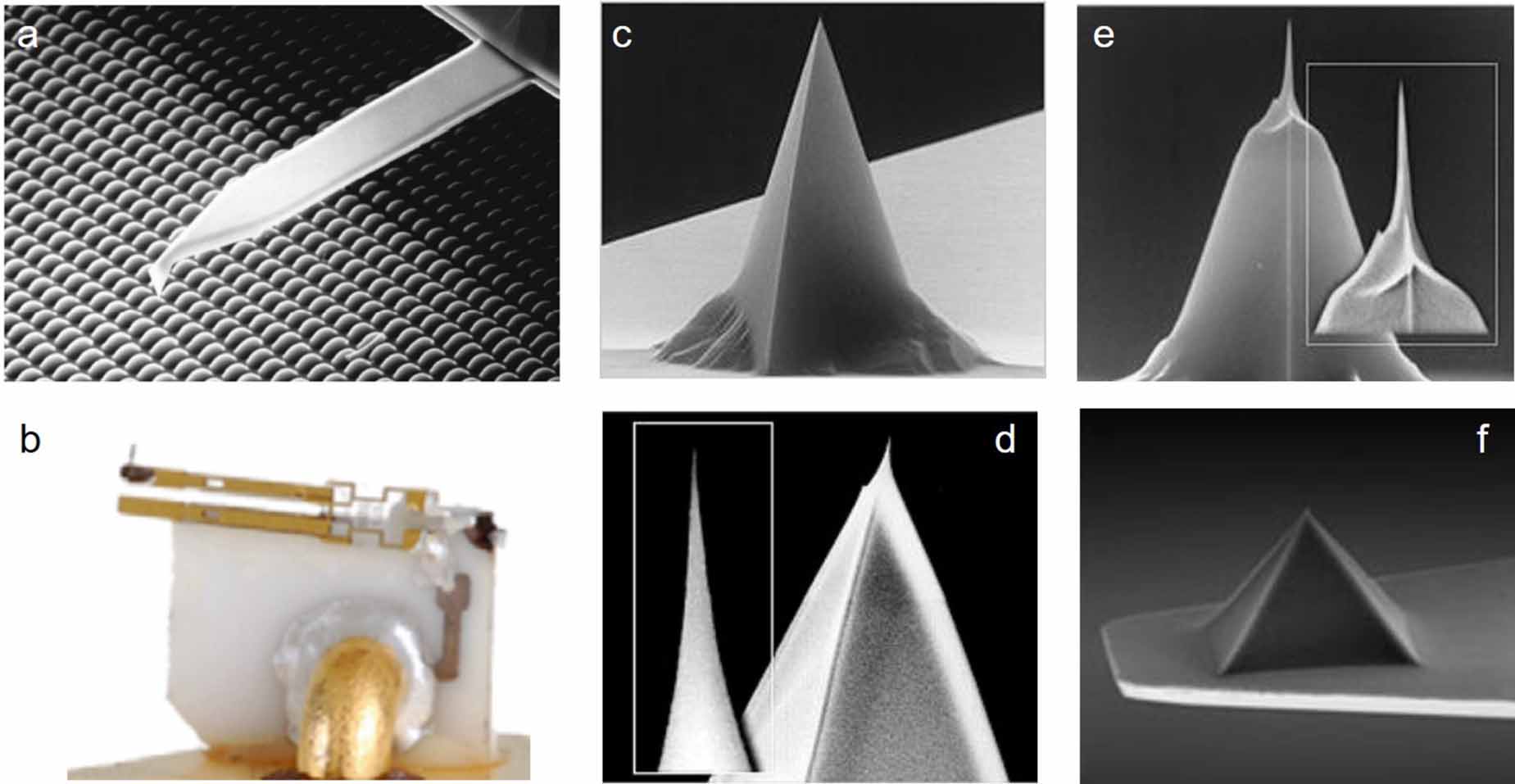 Advanced atomic force microscopies and their applications in two ...