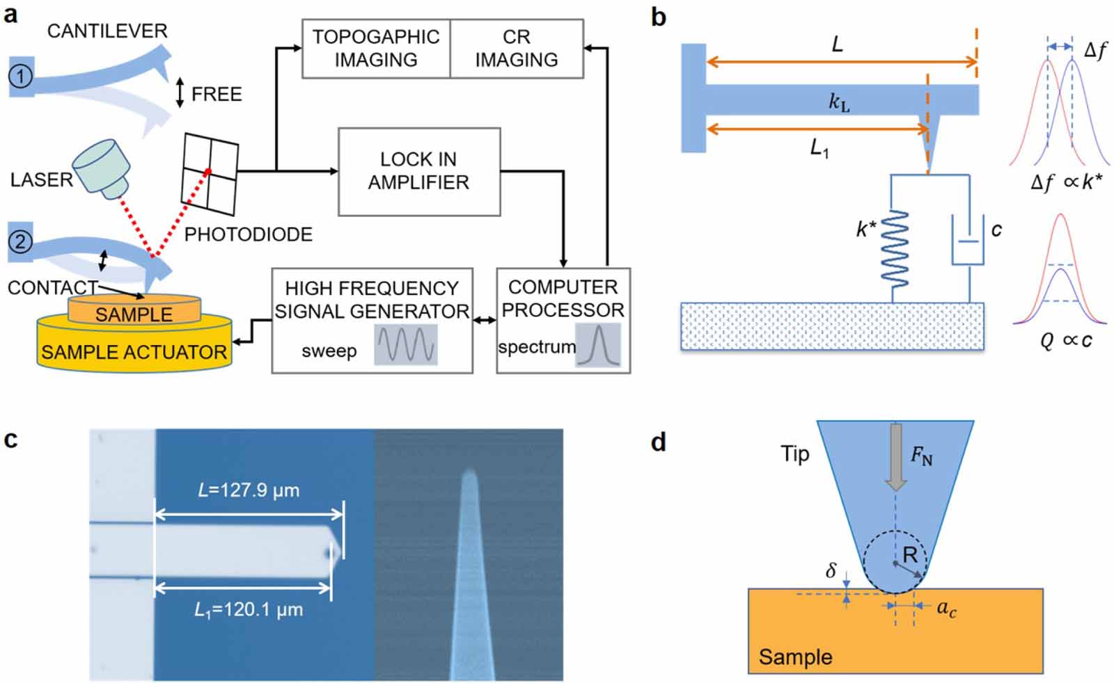 Advanced atomic force microscopies and their applications in two ...