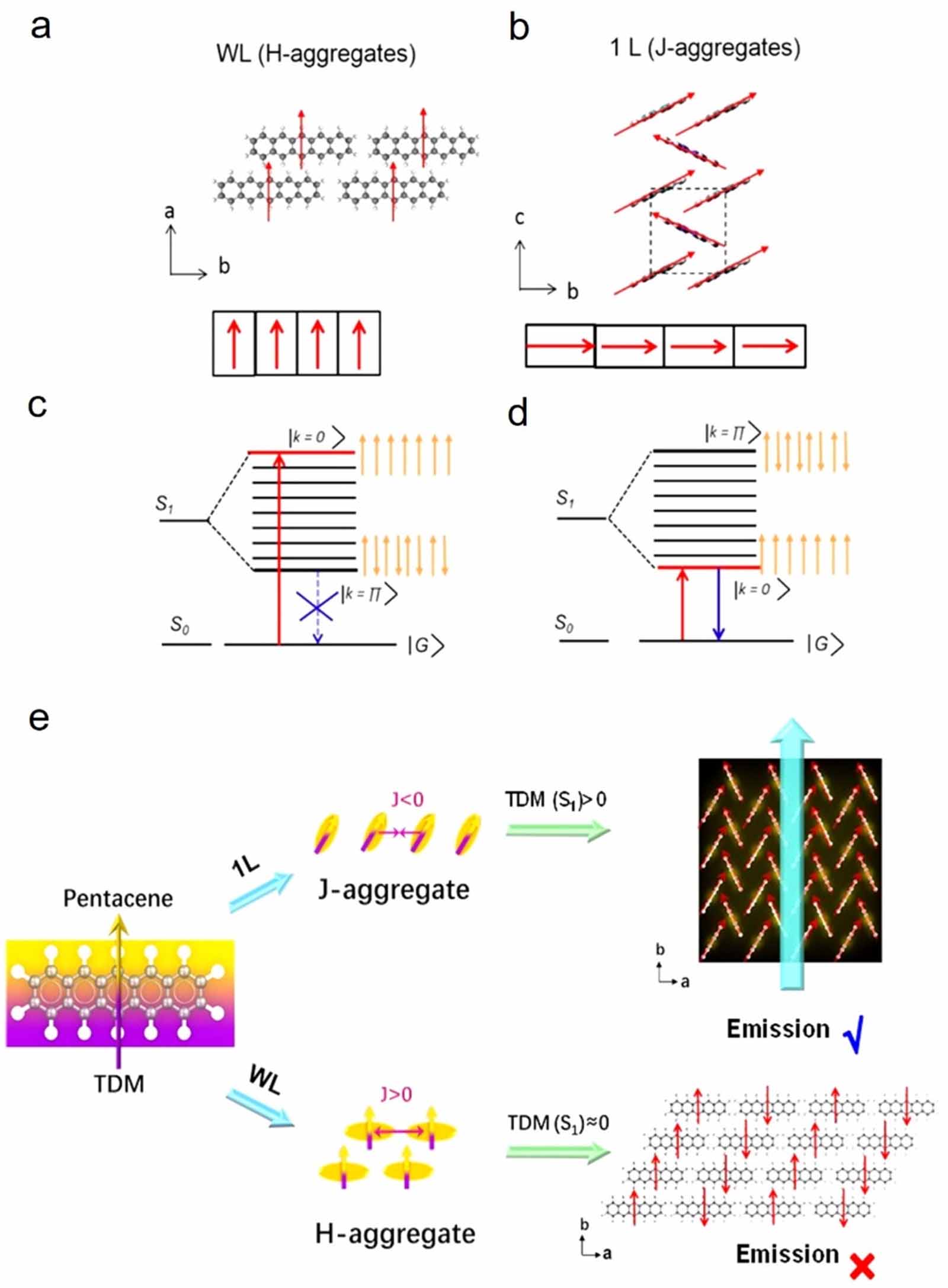 Exciton dynamics in 2D organic semiconductors - IOPscience