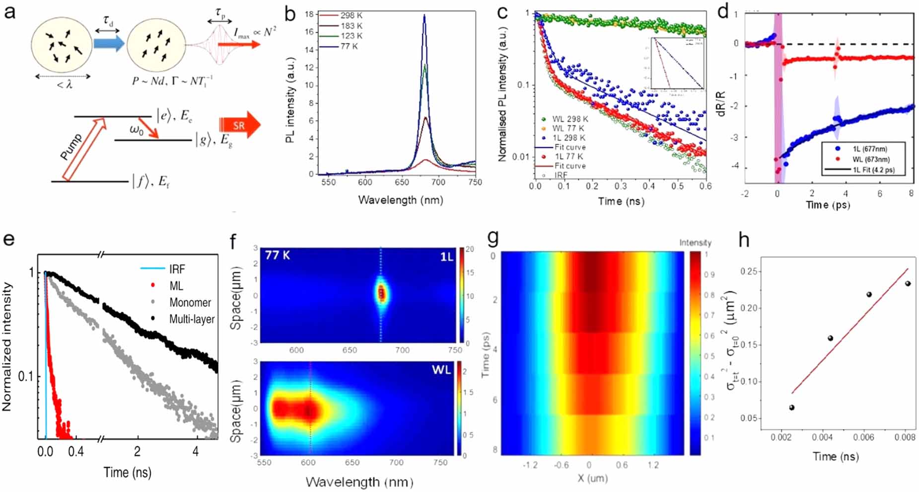 Exciton dynamics in 2D organic semiconductors - IOPscience