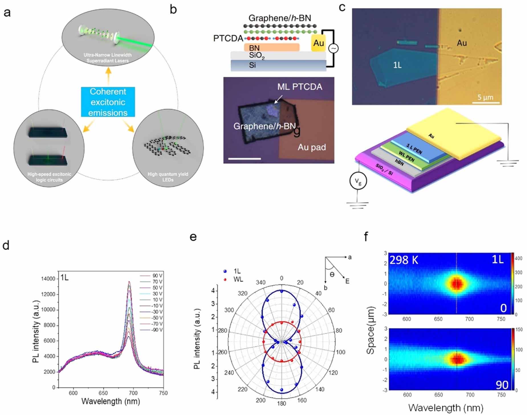 Exciton dynamics in 2D organic semiconductors - IOPscience