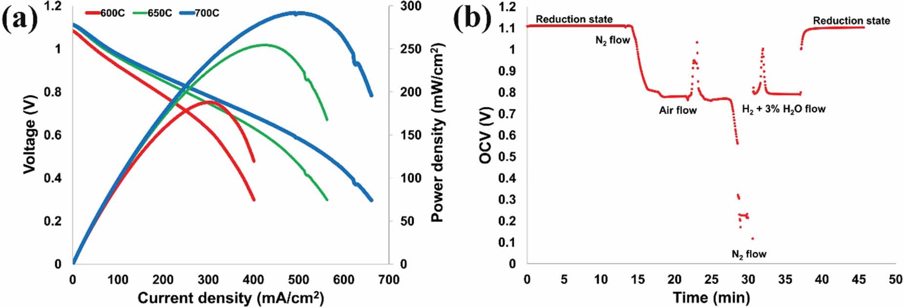Microstructure and long-term stability of Ni–YSZ anode supported fuel ...