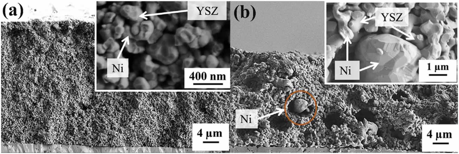 Microstructure and long-term stability of Ni–YSZ anode supported fuel ...