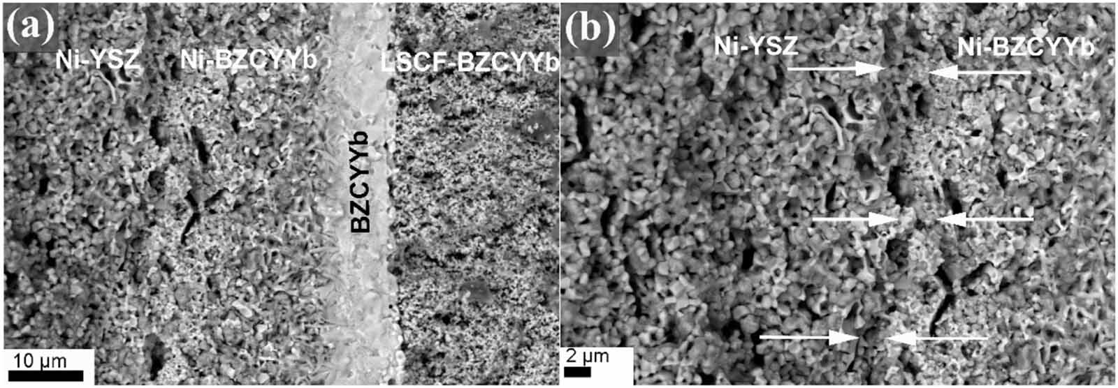 Microstructure and long-term stability of Ni–YSZ anode supported fuel ...