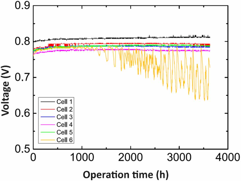 Microstructure and long-term stability of Ni–YSZ anode supported fuel ...