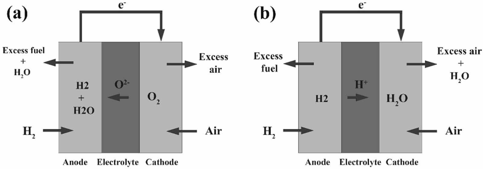 Microstructure and long-term stability of Ni–YSZ anode supported fuel ...