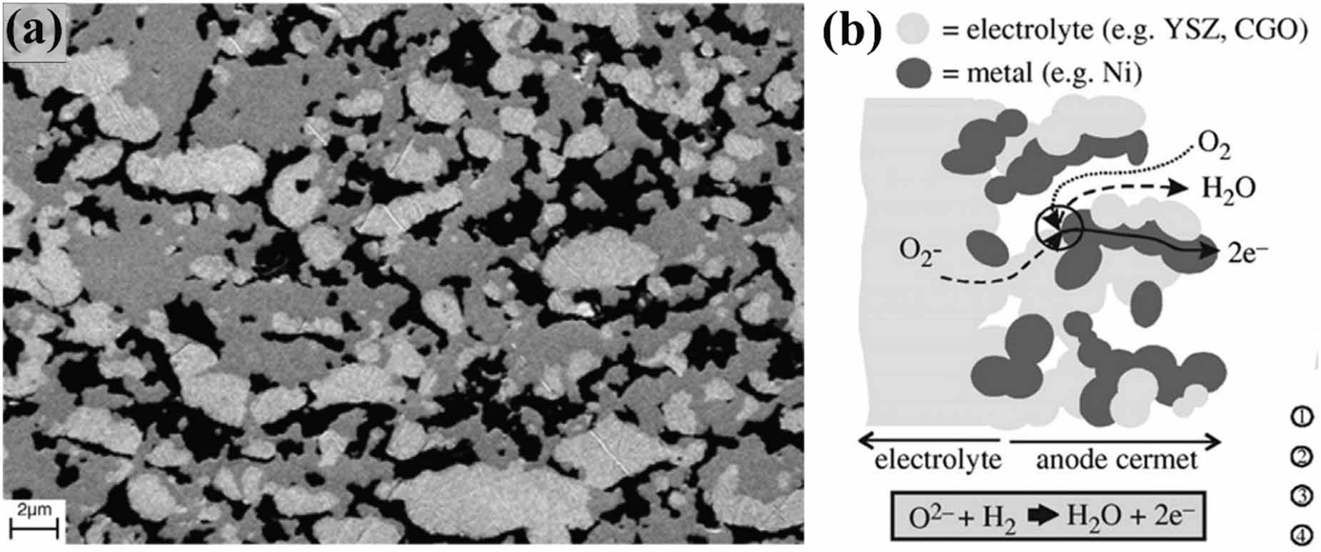 Microstructure and long-term stability of Ni–YSZ anode supported fuel ...