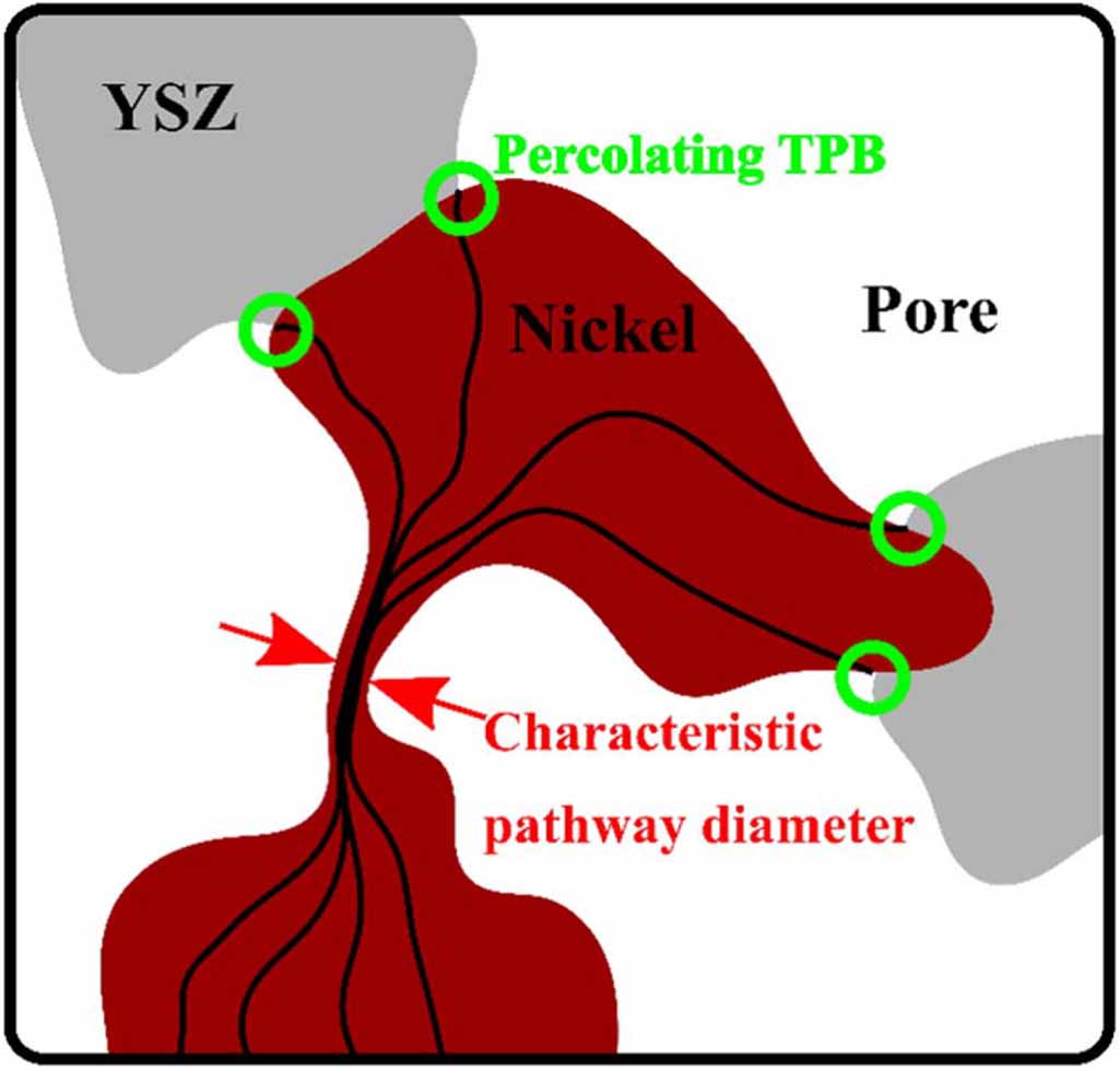 Microstructure and long-term stability of Ni–YSZ anode supported fuel ...