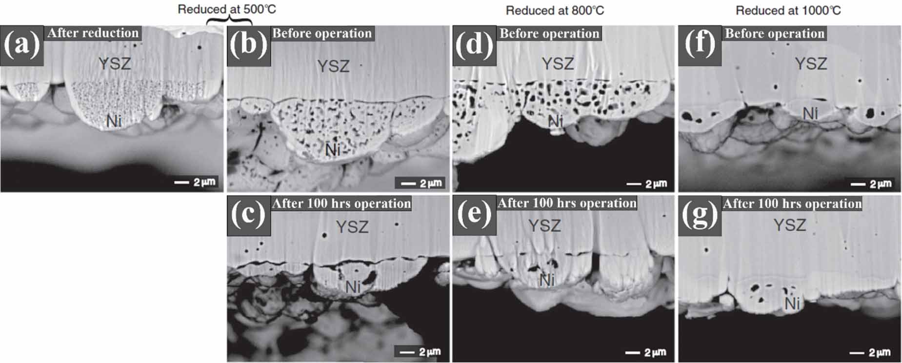 Microstructure and long-term stability of Ni–YSZ anode supported fuel ...