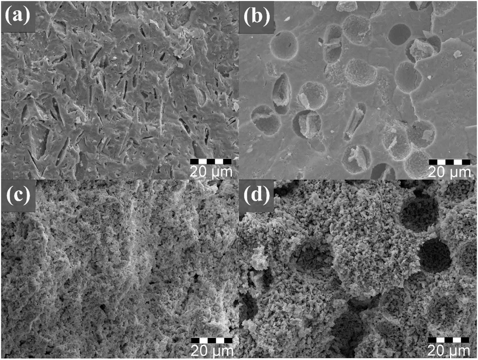 Microstructure and long-term stability of Ni–YSZ anode supported fuel ...