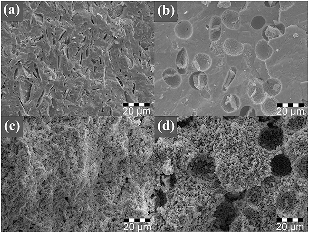 Microstructure and long-term stability of Ni–YSZ anode supported fuel ...