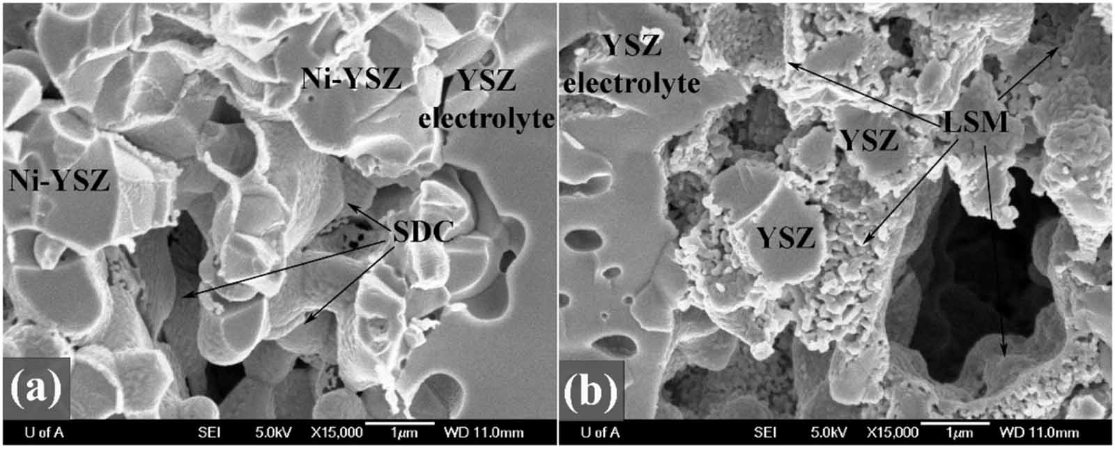 Microstructure and long-term stability of Ni–YSZ anode supported fuel cells: a review - IOPscience