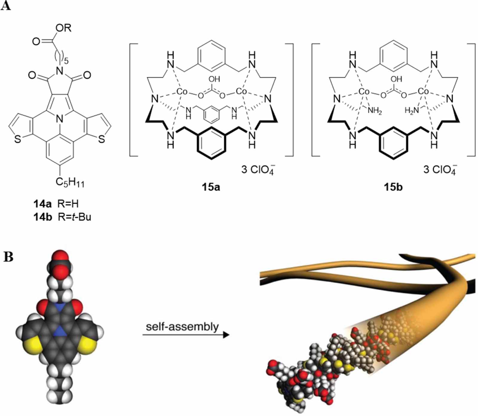 Self-assembled supramolecular materials for photocatalytic H2 production and CO2 reduction ...
