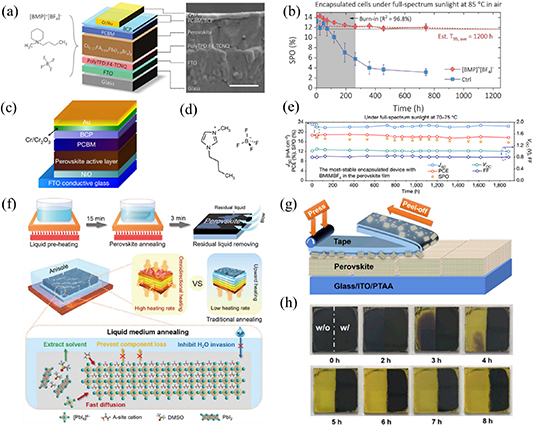 Instability of solution-processed perovskite films: origin and ...