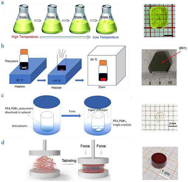 Recent advances on two-dimensional metal halide perovskite x-ray ...