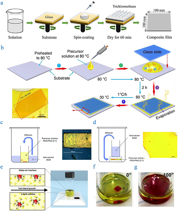 Recent advances on two-dimensional metal halide perovskite x-ray ...