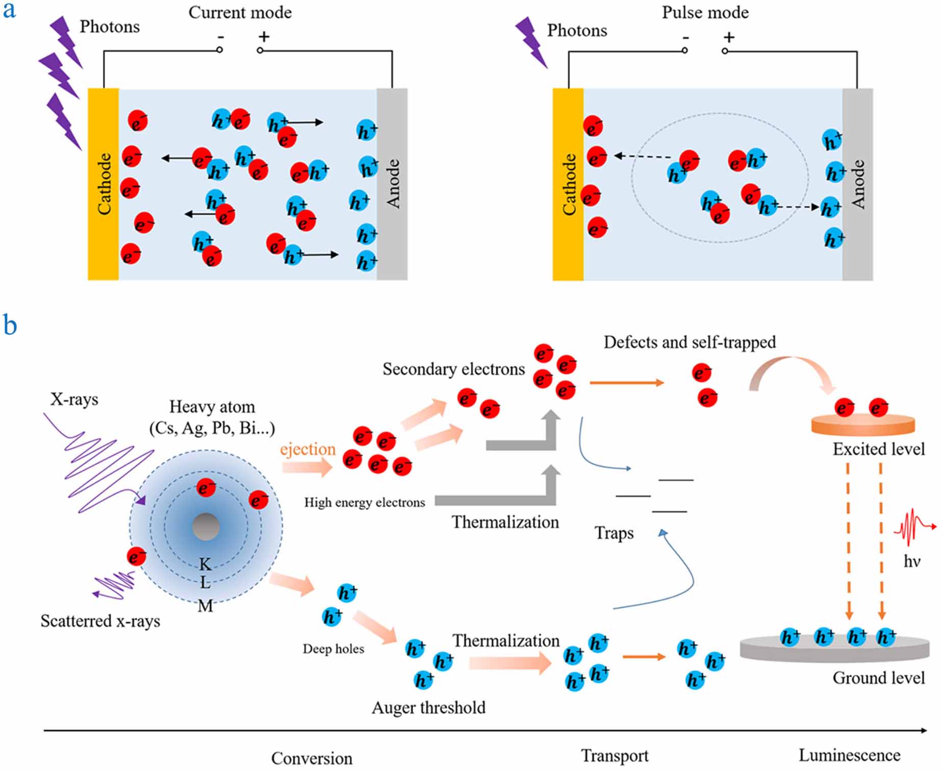 Recent advances on two-dimensional metal halide perovskite x-ray ...
