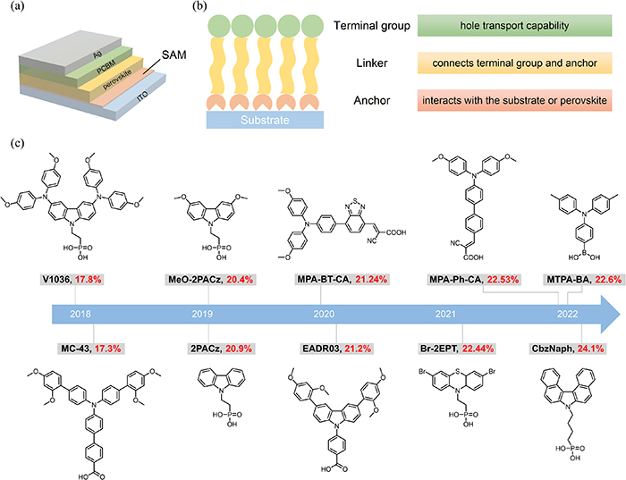 Advantages and challenges of self-assembled monolayer as a hole-selective contact for perovskite ...