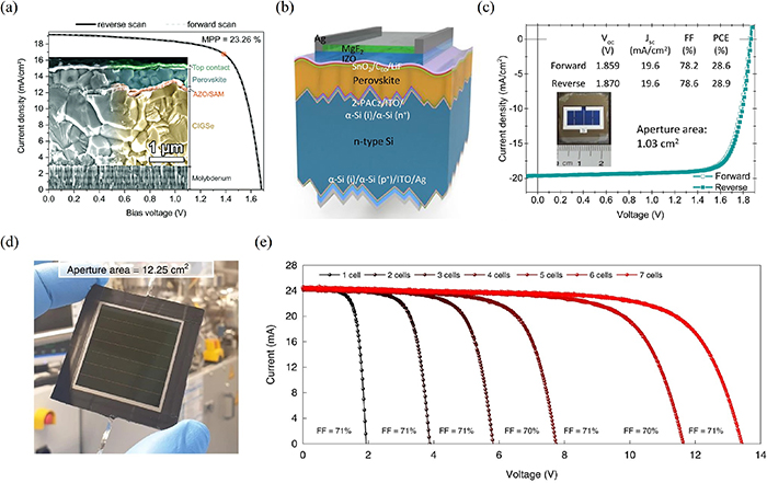 Advantages and challenges of self-assembled monolayer as a hole-selective contact for perovskite ...
