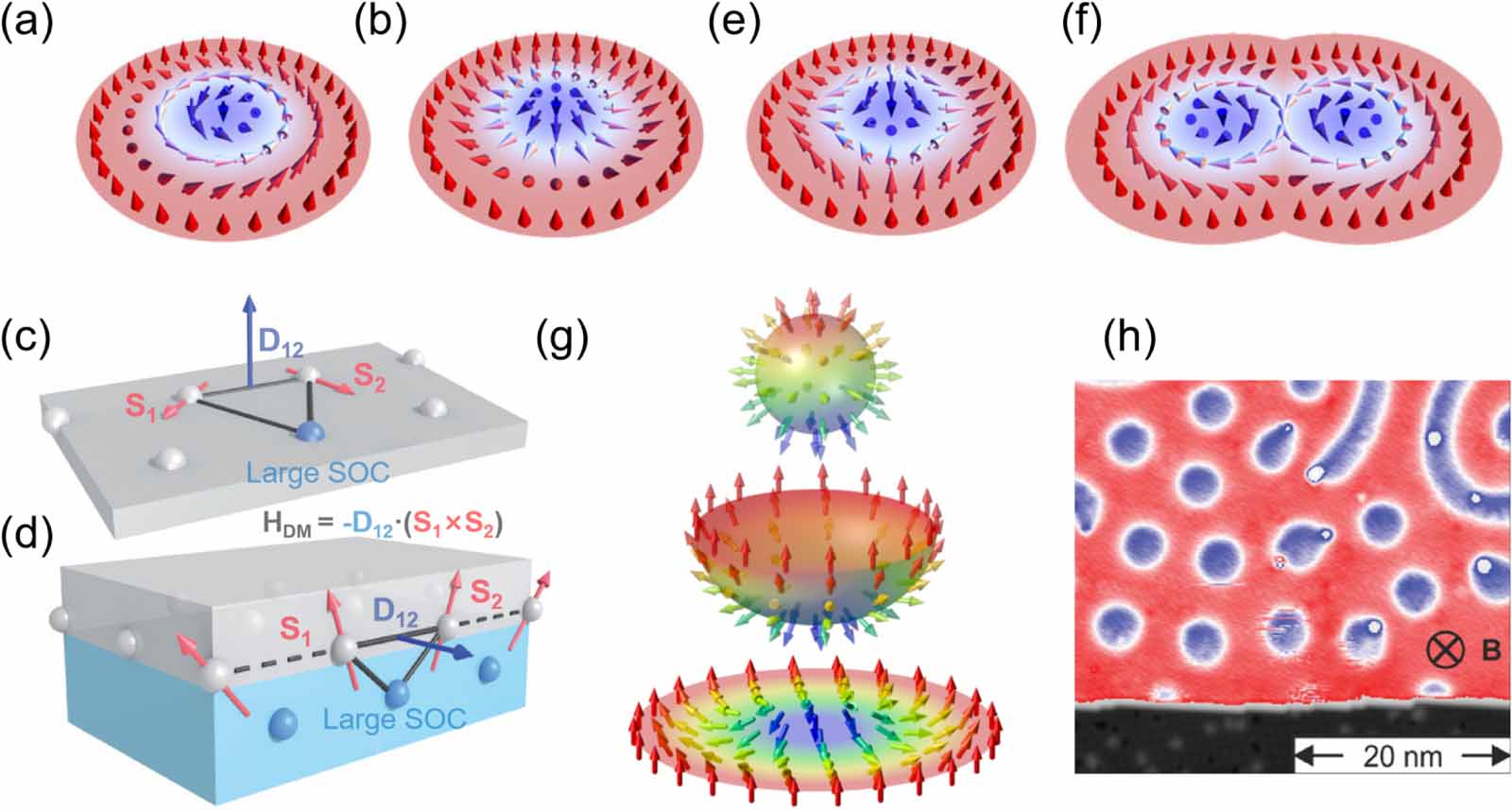 Magnetic skyrmions: materials, manipulation, detection, and ...