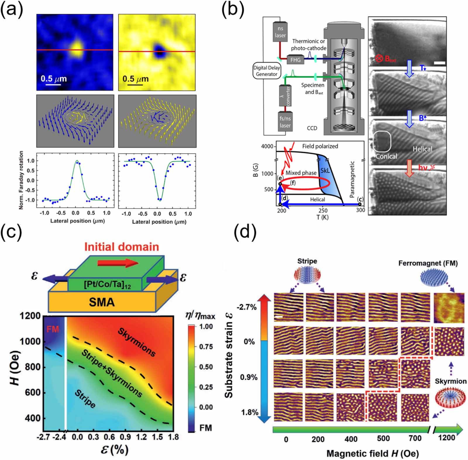 Magnetic skyrmions: materials, manipulation, detection, and ...