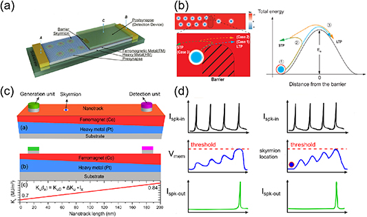 Magnetic skyrmions: materials, manipulation, detection, and ...