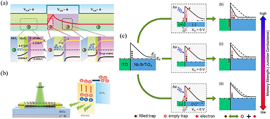 Low-dimensional optoelectronic synaptic devices for neuromorphic vision ...