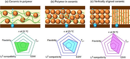Solid-state electrolytes for safe rechargeable lithium metal batteries ...