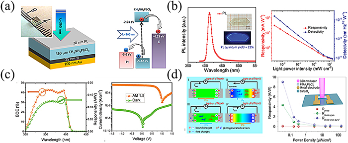 Perovskite single crystals: physical properties and optoelectronic ...