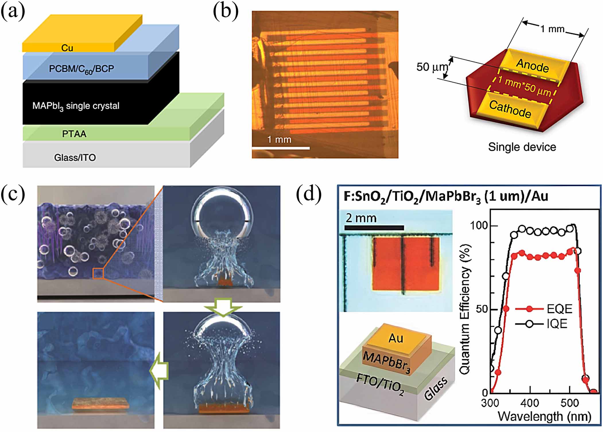 Perovskite single crystals: physical properties and optoelectronic ...
